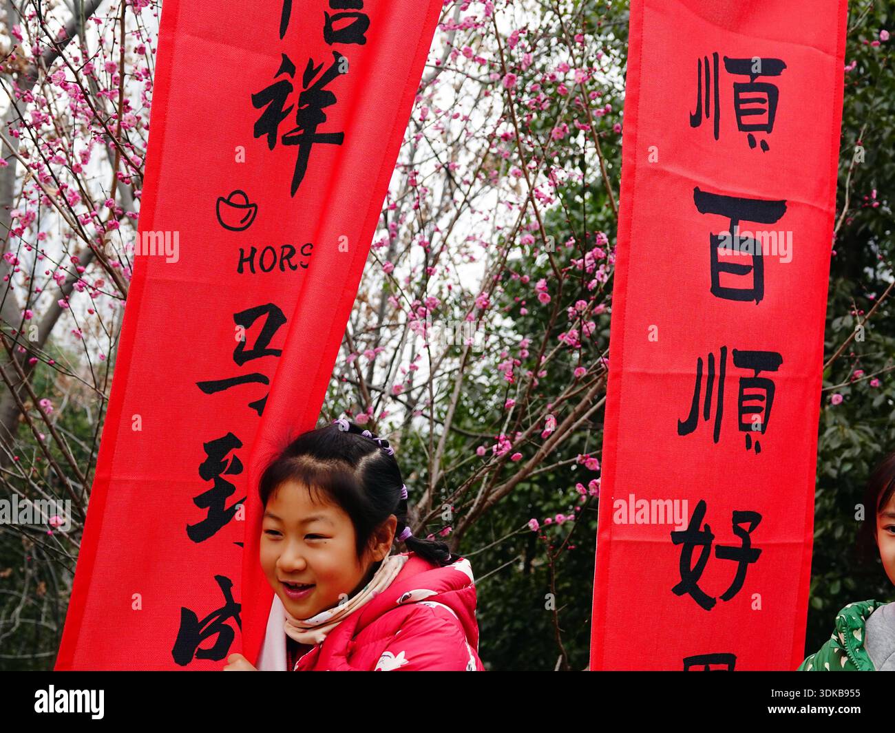 A plum blossom exhibition is held at Chengdong Park in Yichang City ...