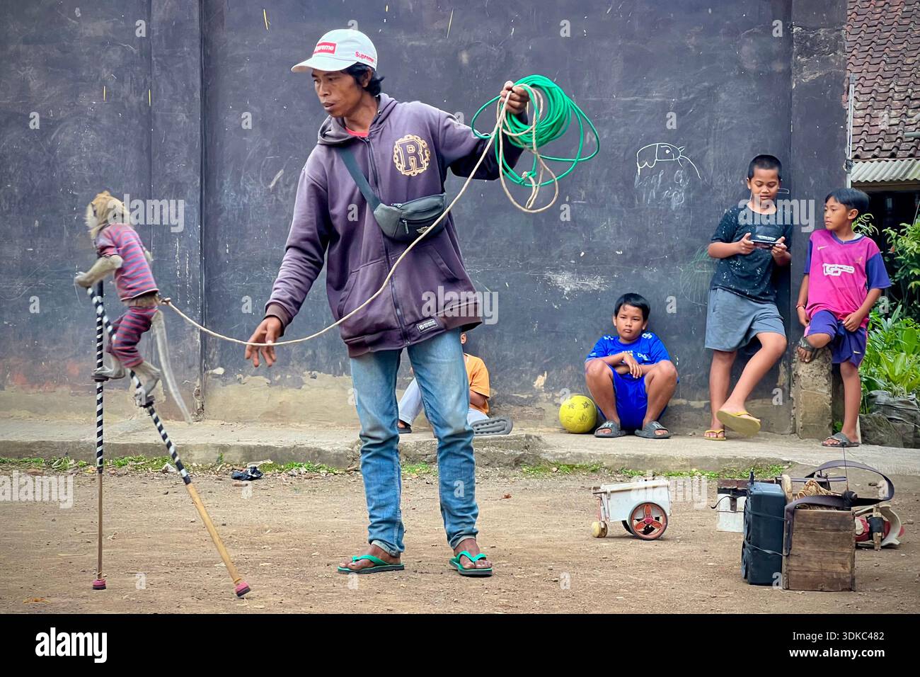 Garut, West Java, Indonesia. 31st Jan, 2026. A Long-Tailed Monkey ...