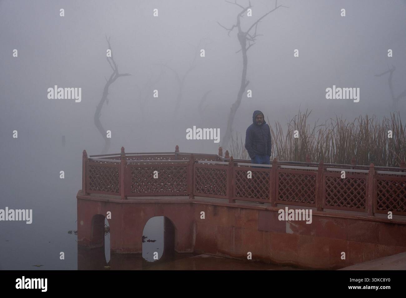 A man walks through heavy fog near the Bird Sanctuary at Ekana Stadium ...