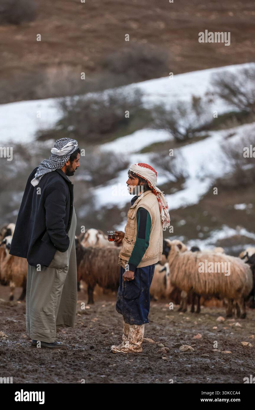 Darzi (L) and his younger brother Haisam stand outside their temporary ...