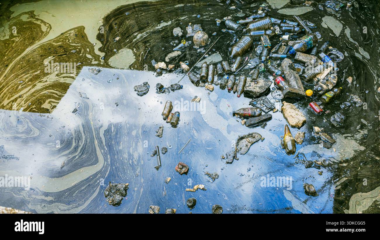 Heavy water pollution visible in an urban harbor Heavy water pollution ...