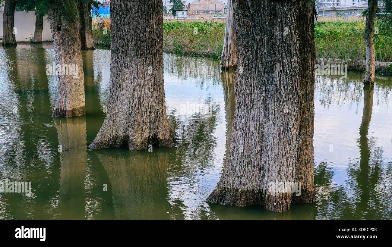 A public park and memorial area submerged in muddy floodwaters ...