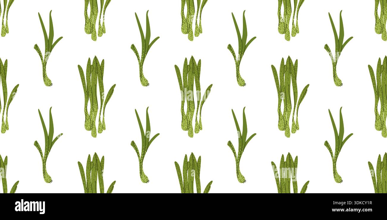 Green onion scallion vegetable Stock Vector Images - Alamy