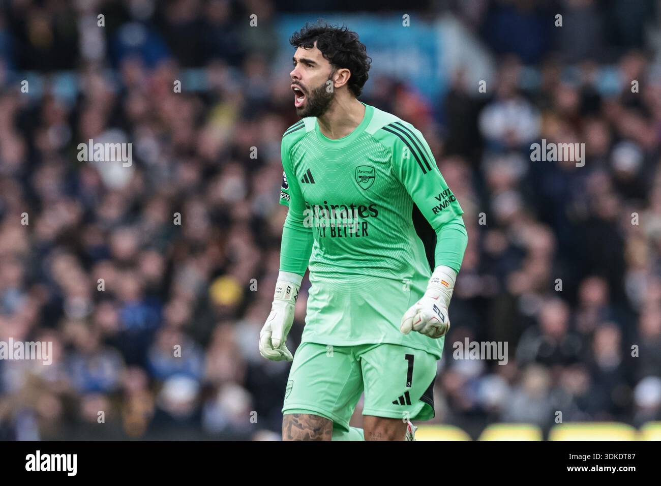 Arsenal goalkeeper David Raya celebrates the goal of Martin Zubimendi ...