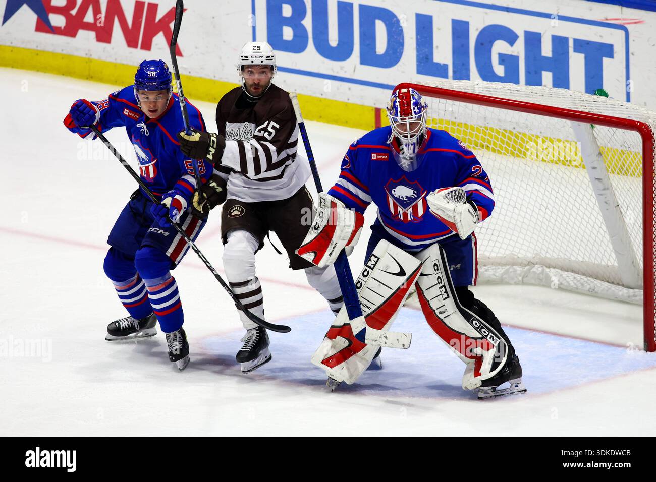 January 30th 2026: Rochester Americans defenseman Isaac Belliveau (56 ...
