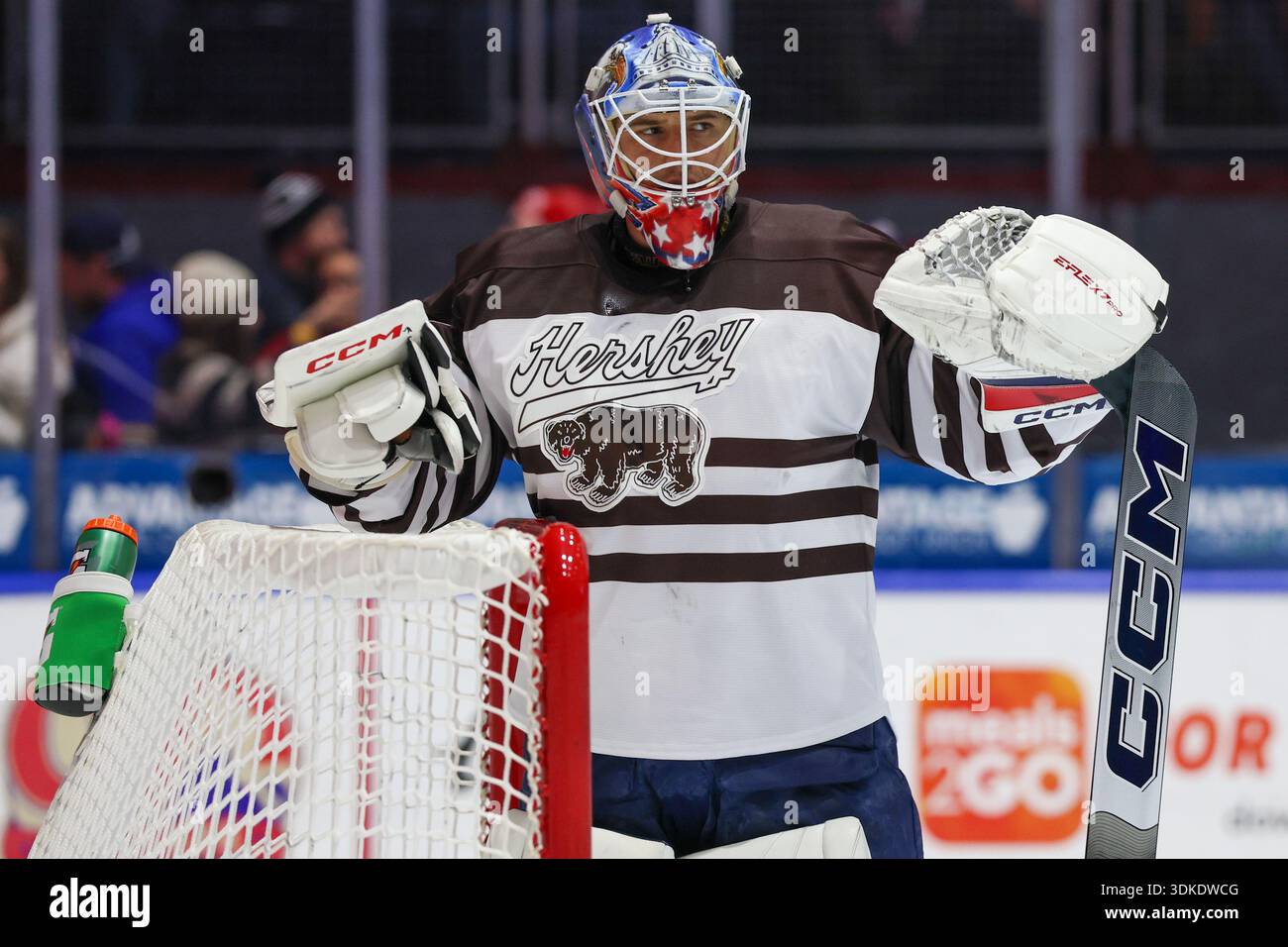 January 30th 2026: Hershey Bears goaltender Mitch Gibson (35) looks on ...