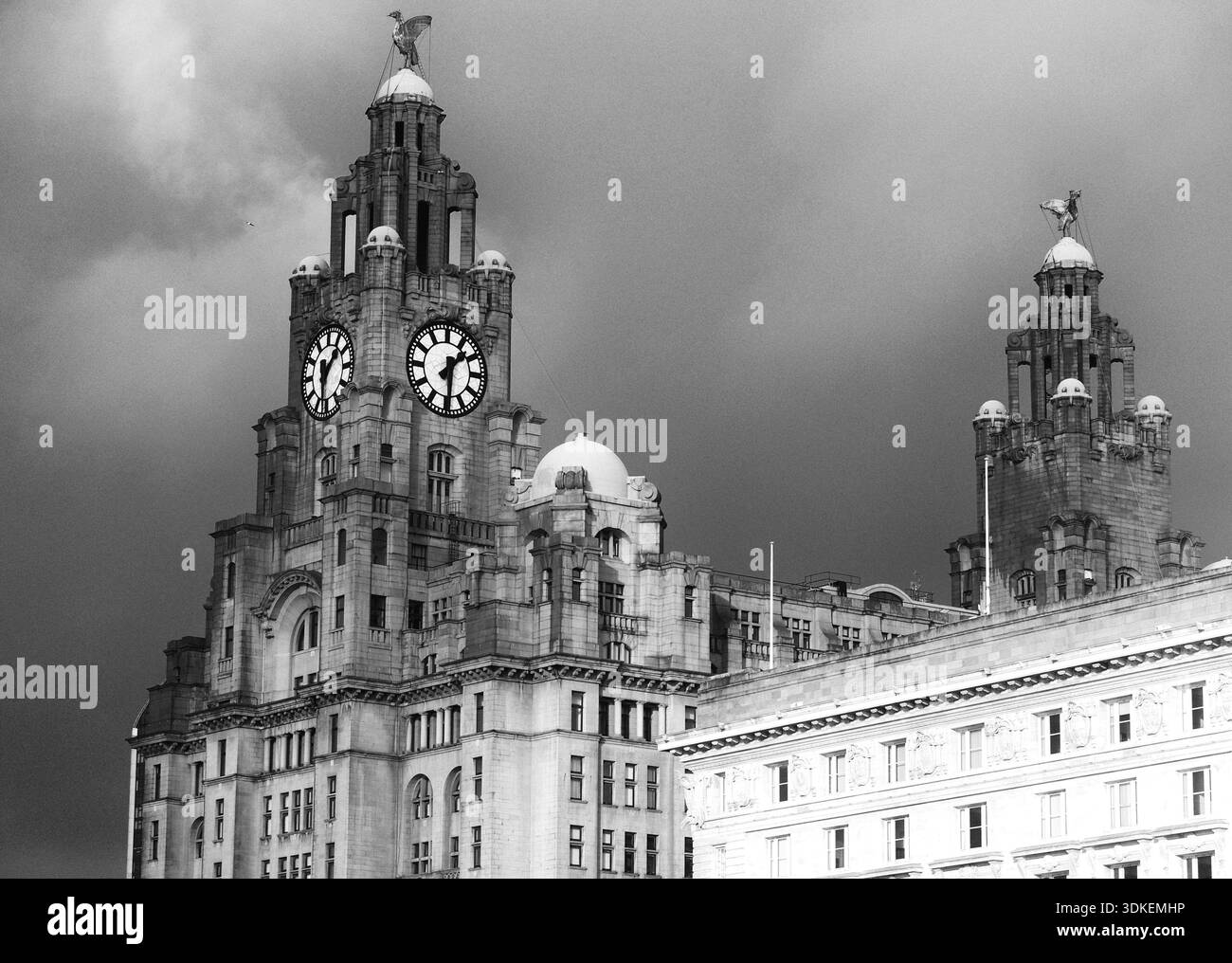Liver building three on liverpool Black and White Stock Photos & Images ...