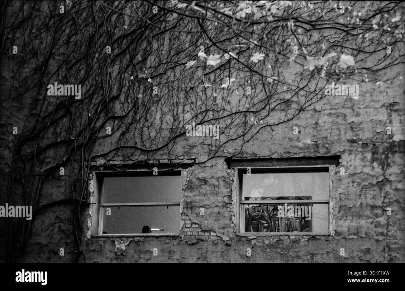Giebel Deutschland, Berlin, 26.10.1992, Fenster in einer Hinterhofwand ...