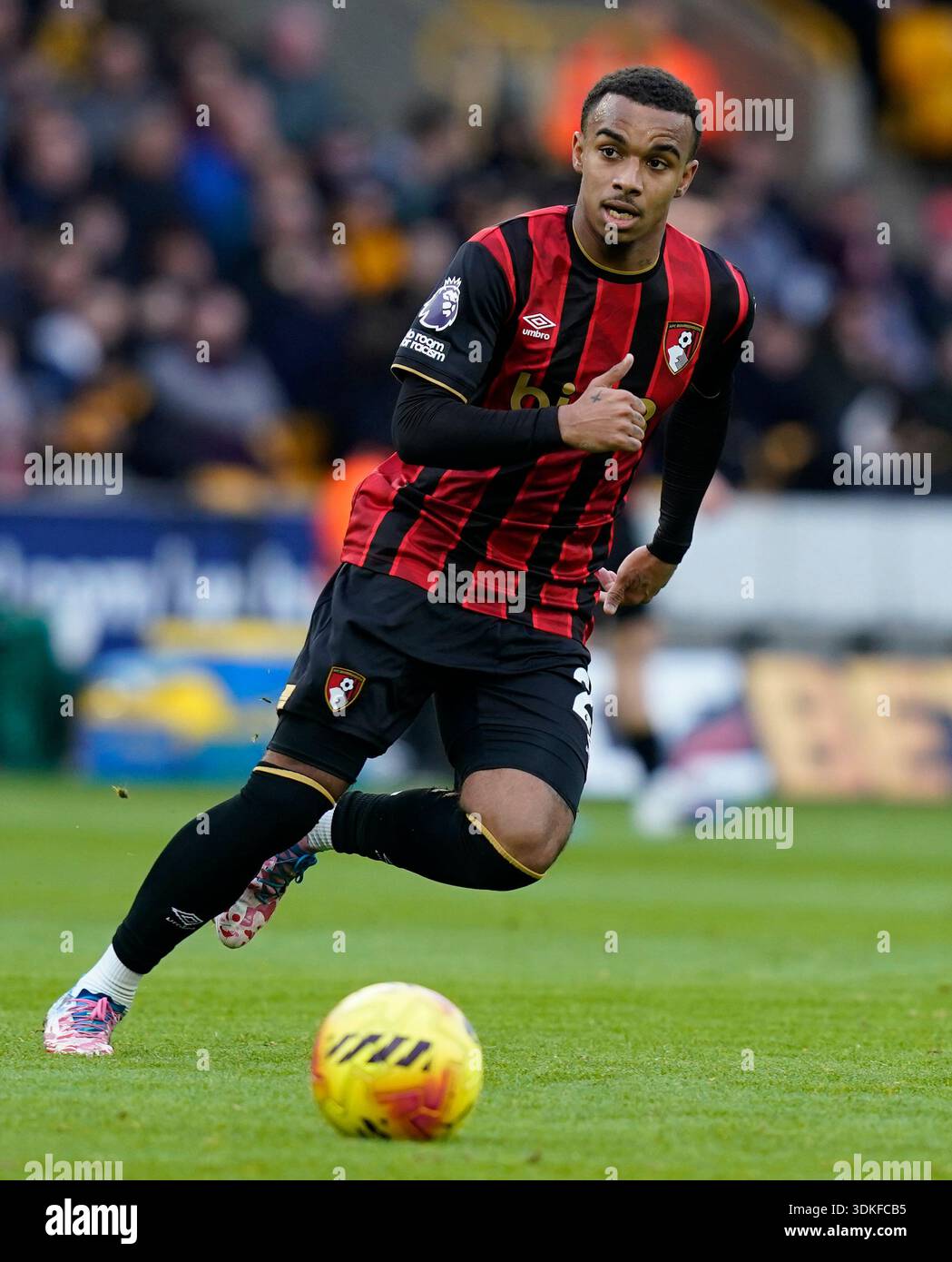 Wolverhampton, England, 31st January 2026. Eli Junior Kroupi of ...