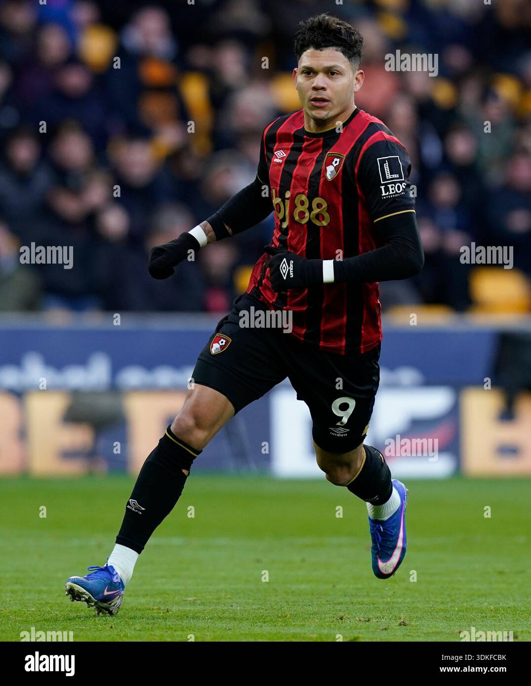 Wolverhampton, England, 31st January 2026. Evanilson of Bournemouth ...