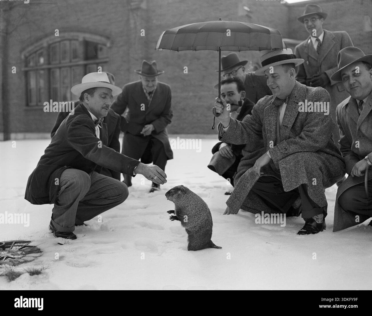FILE - The groundhog saw his shadow, Feb. 2, 1954, as the sun peeked ...