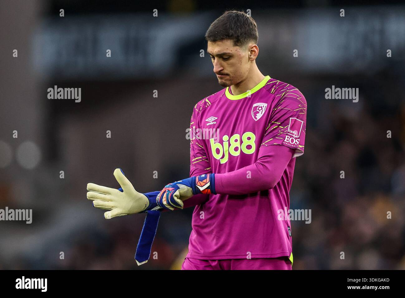 Bournemouth goalkeeper Djordje Petrovic during the Premier League match ...
