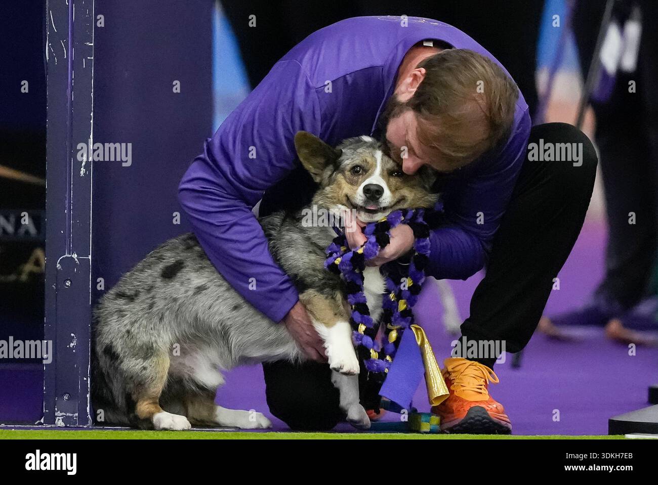 Handler hugs a dog at the 150th Westminster Kennel Club Dog show ...