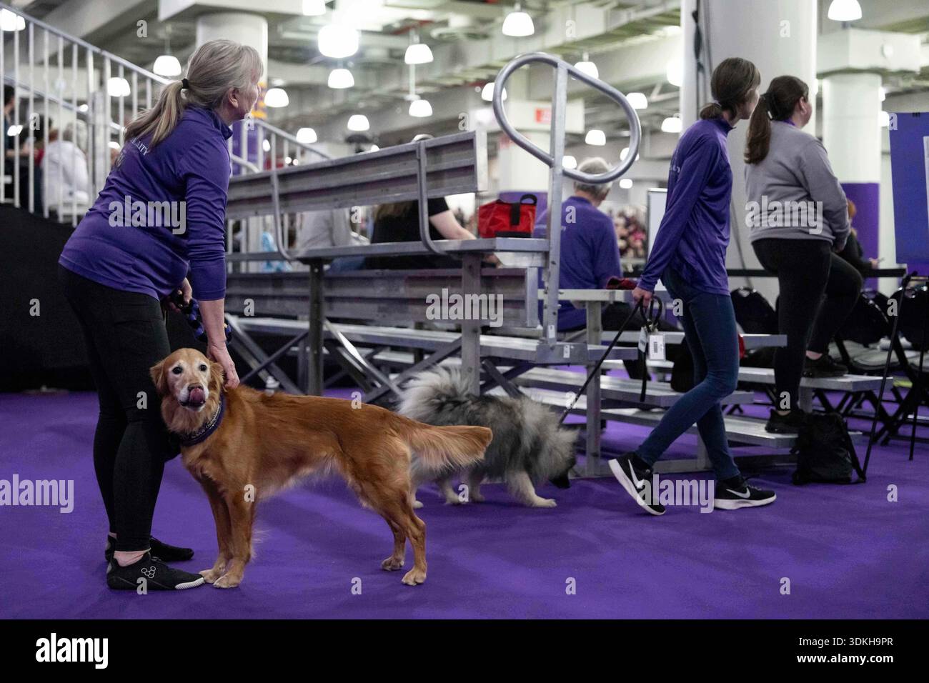 Handlers stand with their dogs before competing in the Masters Agility ...