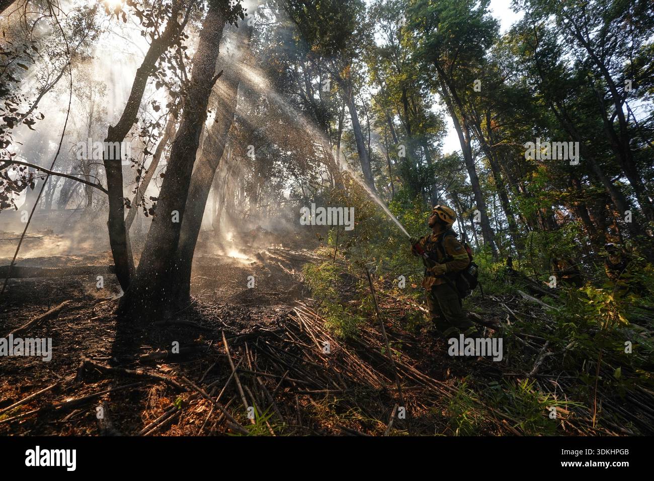 Firefighters battle wildfires in Los Alerces National Park, Argentina ...