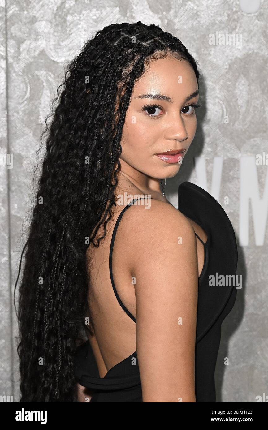 Lala attends the Warner Music Group Pre-Grammy awards party on January ...