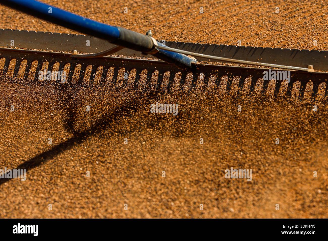 GUADALAJARA, MEXICO - JANUARY 31: Detail of a rake being used by a ...