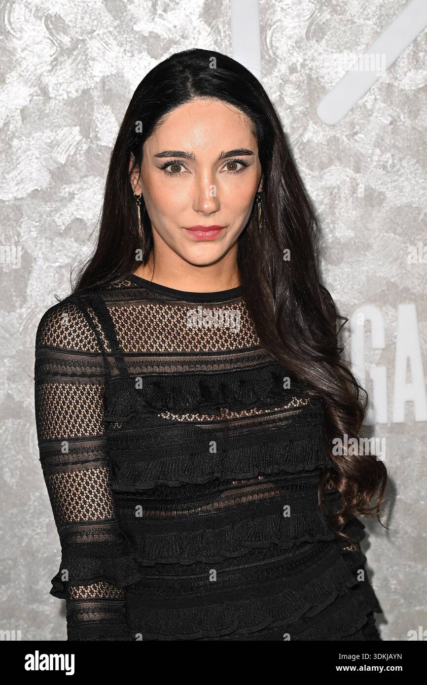 Nikko Arbib attends the Warner Music Group Pre-Grammy awards party on ...