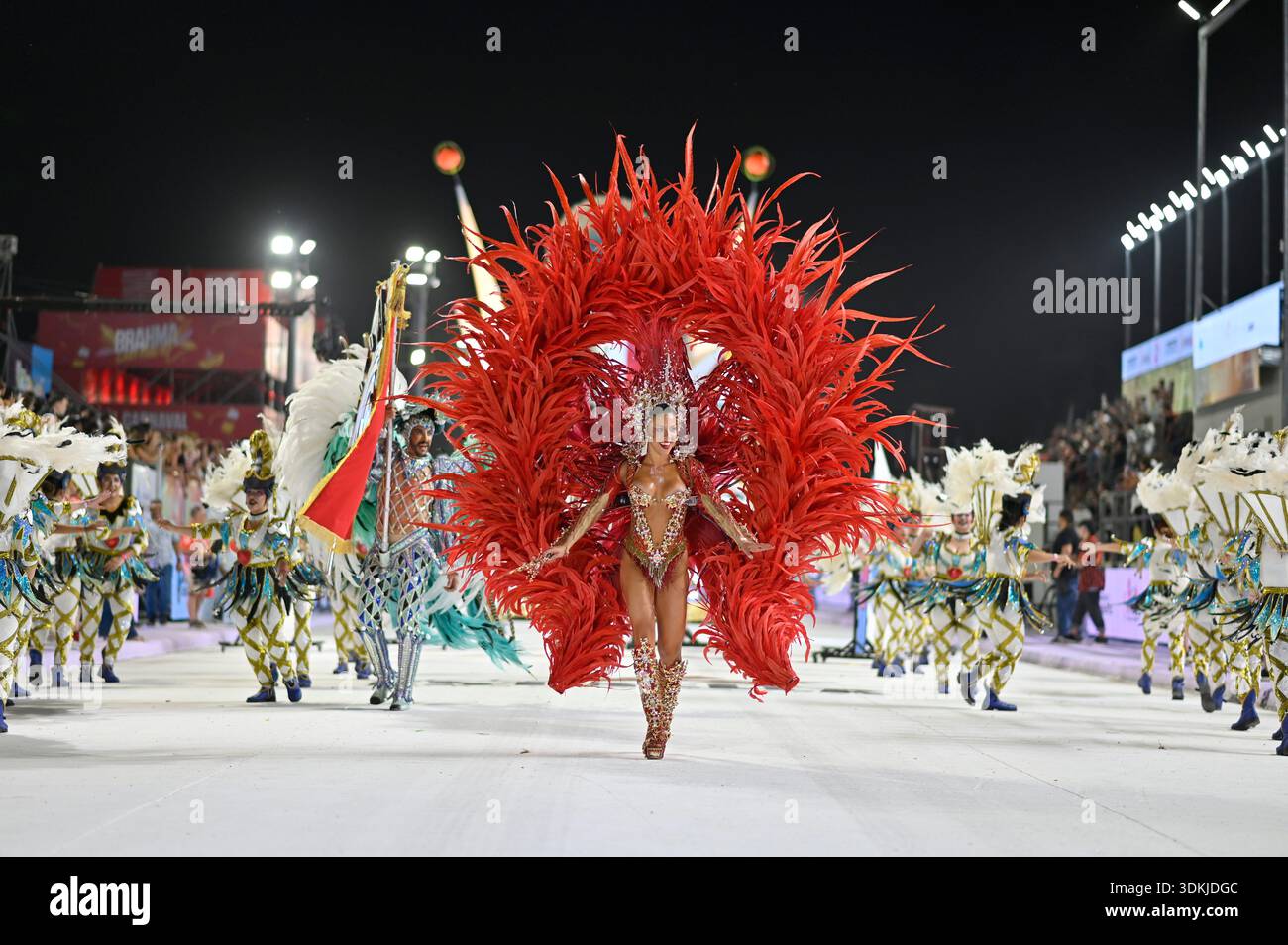 Corrientes, Corrientes, Argentina. 01 February 2026. “Ara Bera ...