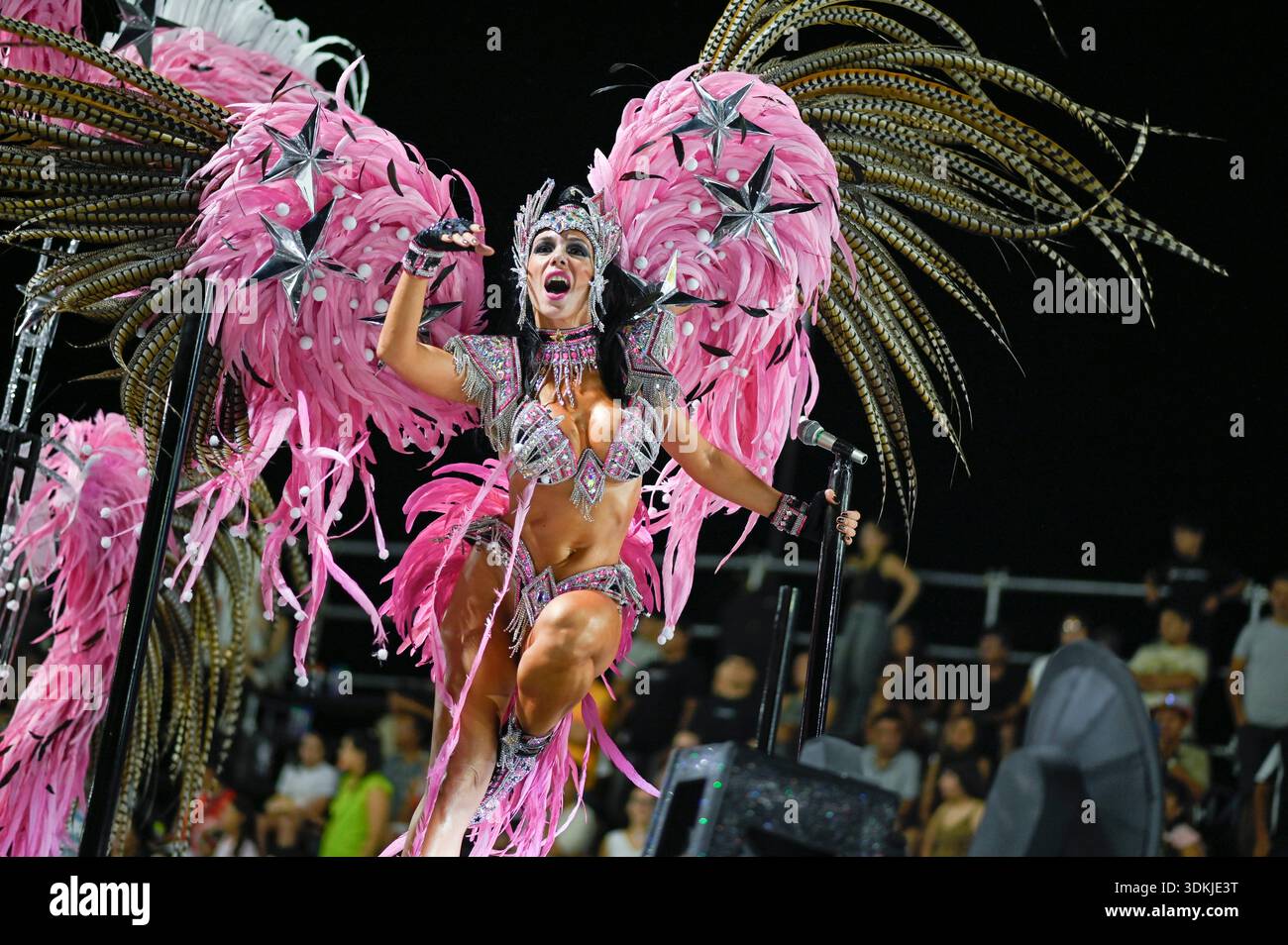 Corrientes, Corrientes, Argentina. 01 February 2026. “Ara Bera ...