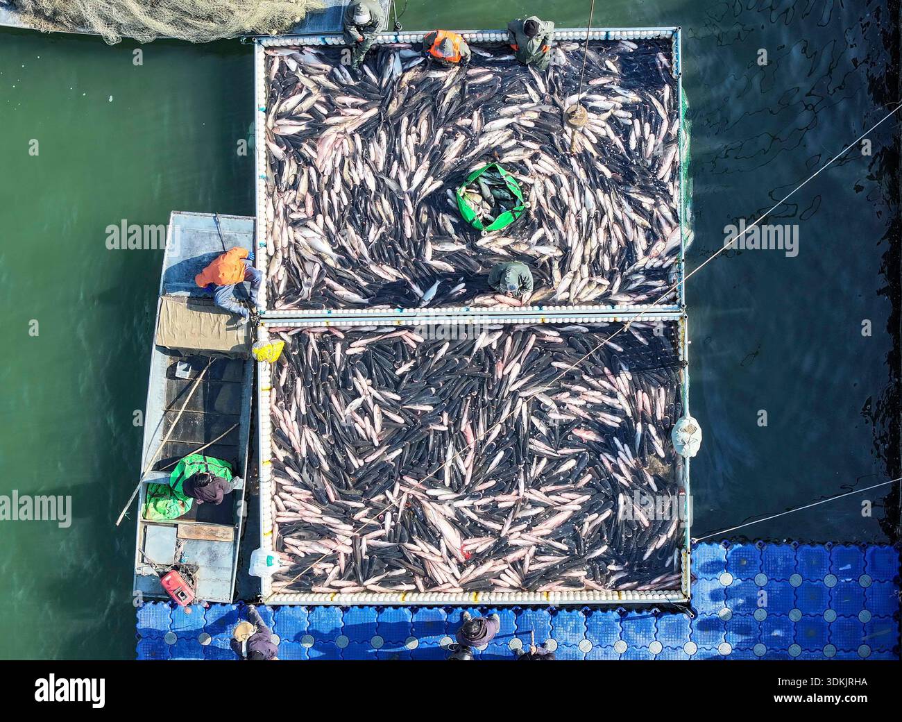 (260201) -- BEIJING, Feb. 1, 2026 (Xinhua) -- A drone photo shows ...
