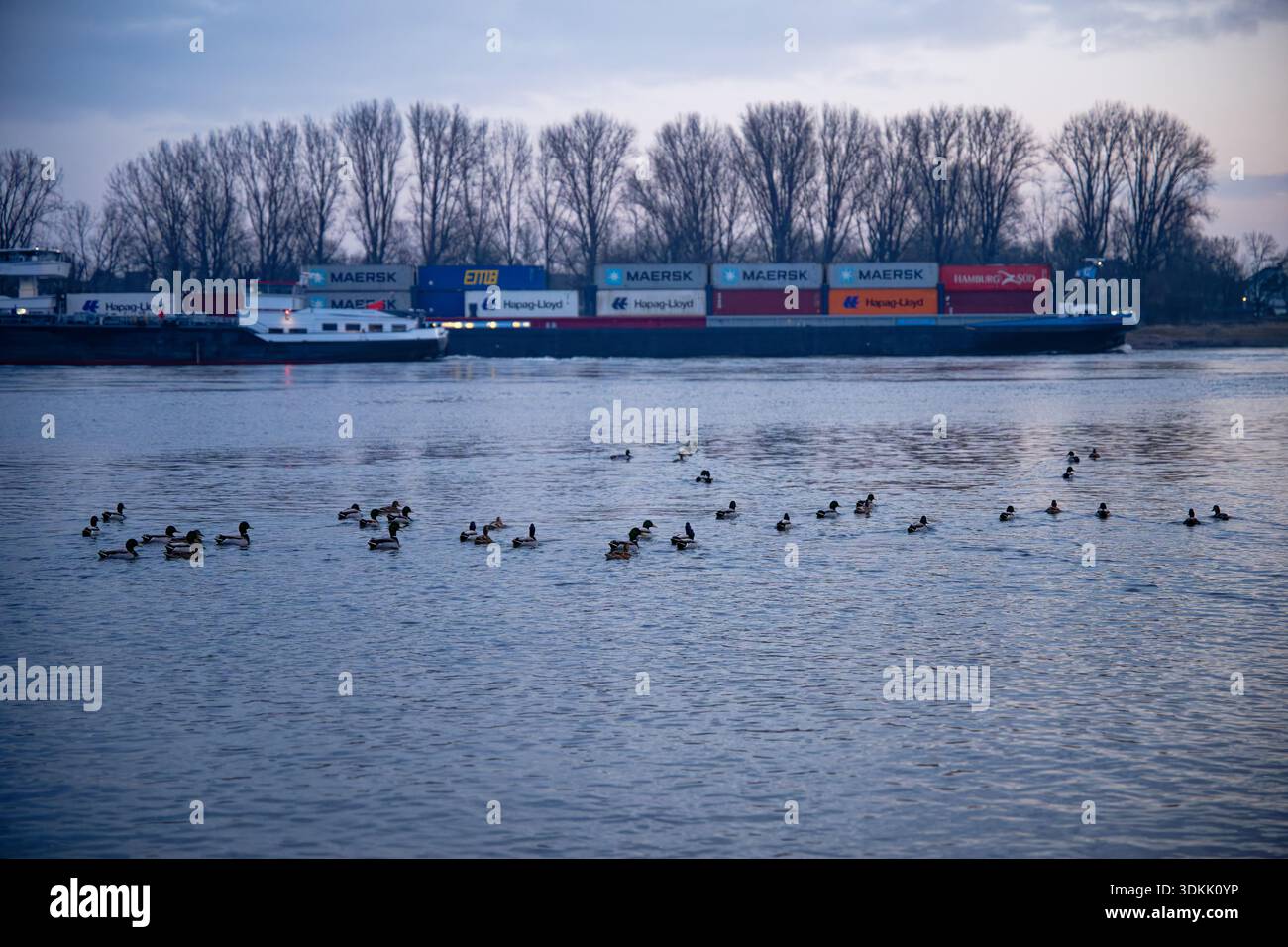 01 February 2026, North Rhine-Westphalia, Cologne: The sun rises over ...