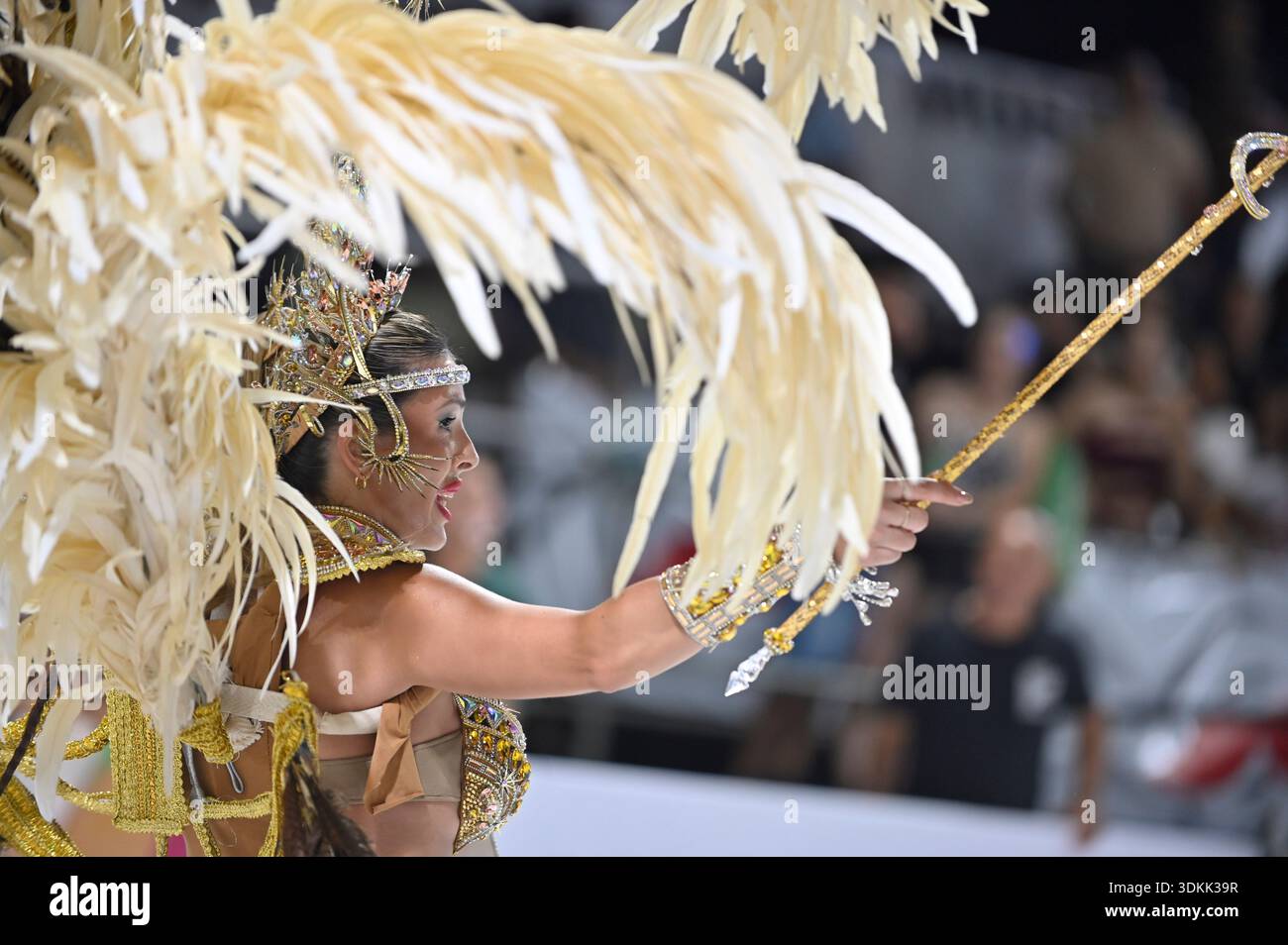 Corrientes, Corrientes, Argentina. 01 February 2026. Arandu Beleza ...