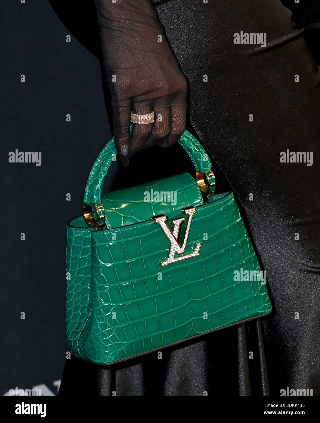 Jamila Sozahdah arriving to the 2026 Pre-GRAMMY Gala held at the ...