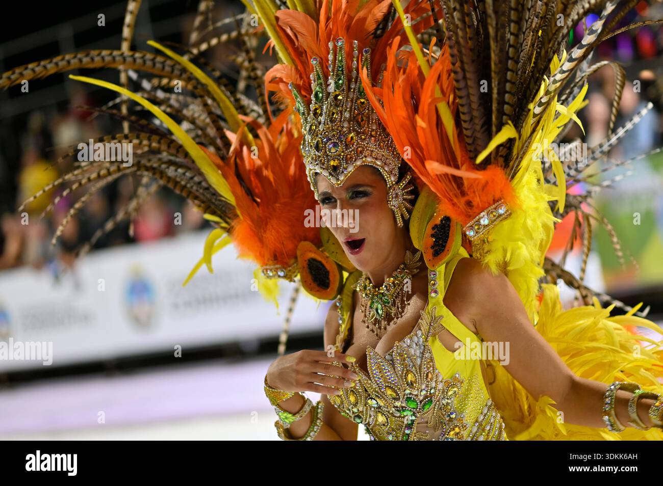 Corrientes, Corrientes, Argentina. 01 February 2026. Sapucay performer ...