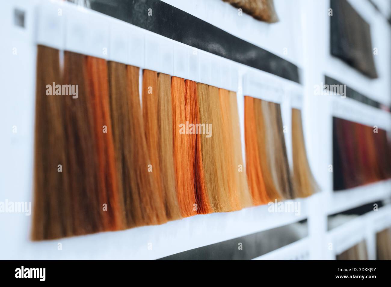 Different color palette hi-res stock photography and images - Alamy