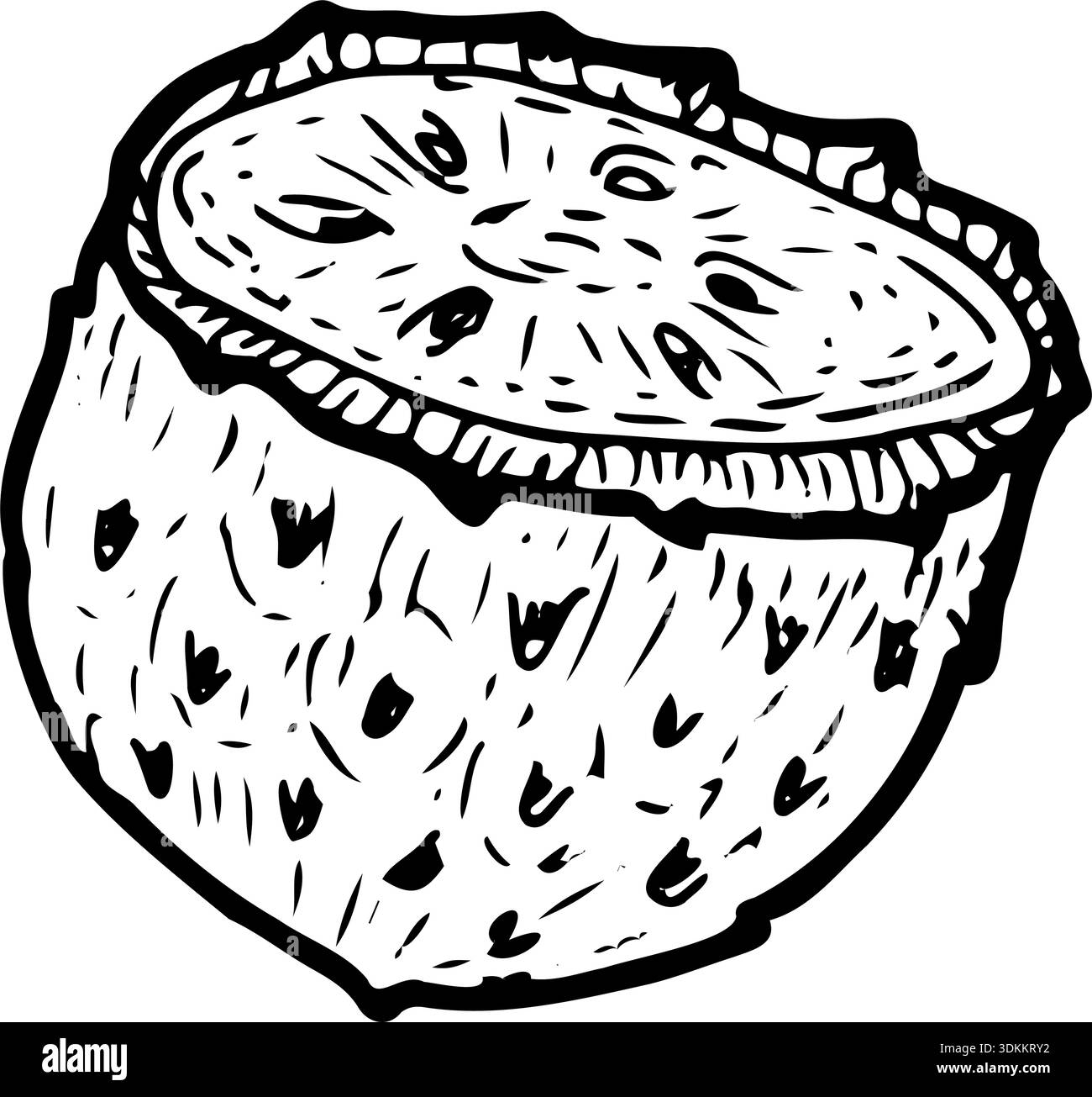 Durian line drawing hi-res stock photography and images - Alamy