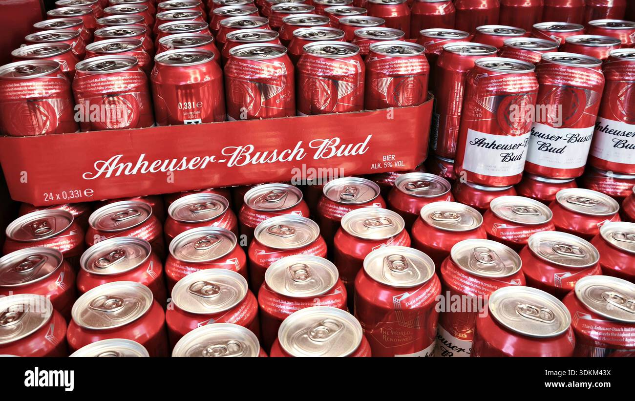 Berlin,31.01.2026,Anheuser-Busch Bud Bier abgefüllt in 0,33 Liter Dosen ...