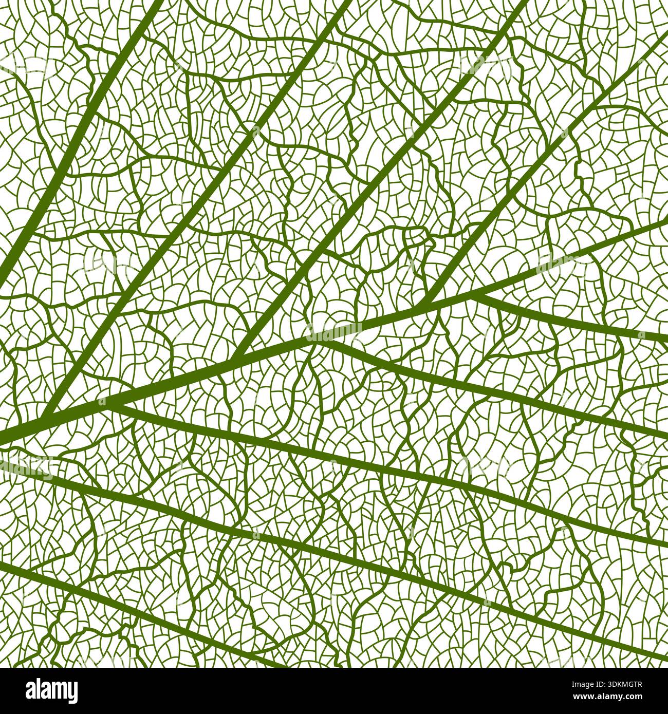 Green tree leaf veins texture pattern with cells Stock Vector Image ...