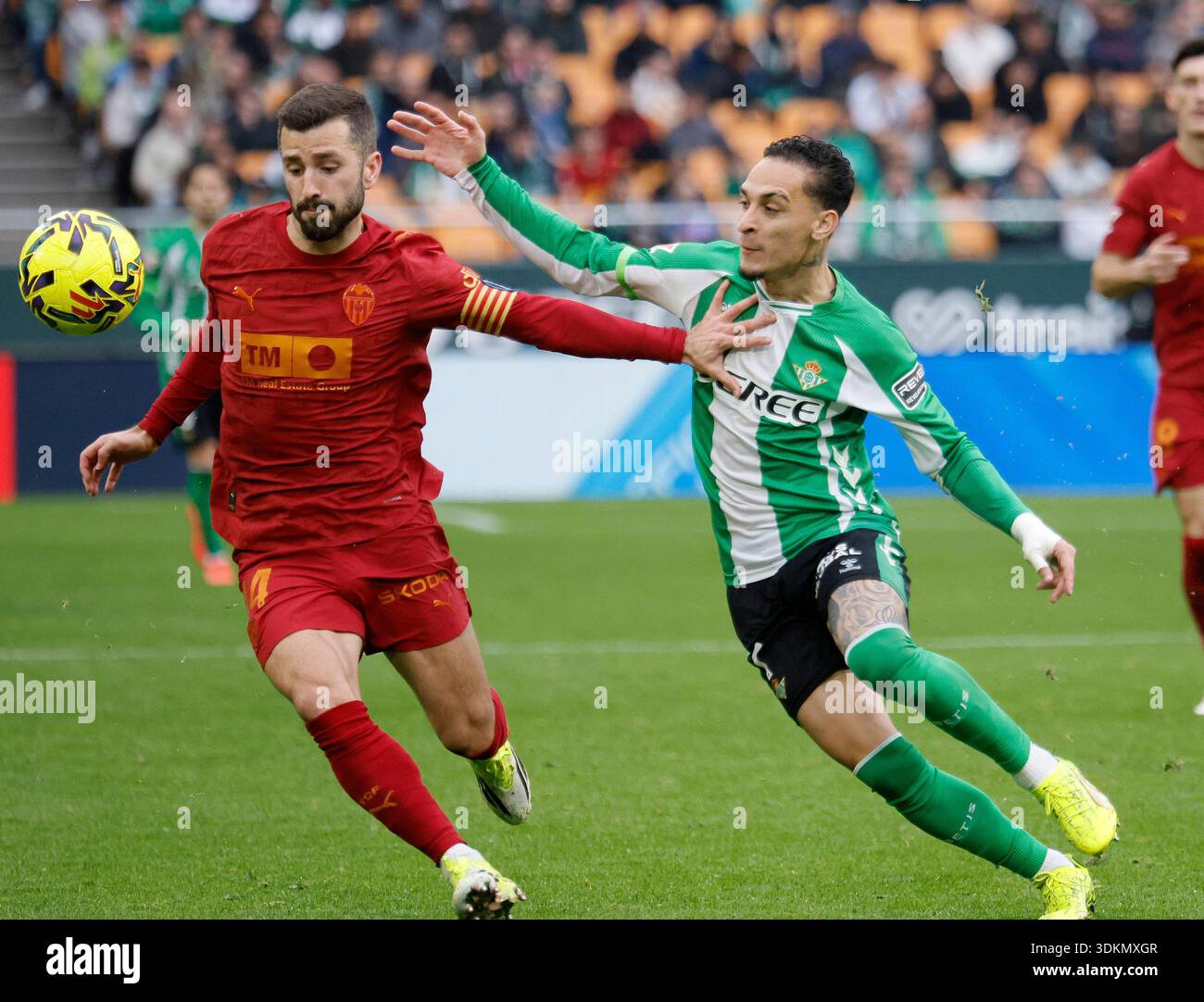 Spanish La Liga EA Sports soccer match Betis vs Valencia at La Cartuja ...