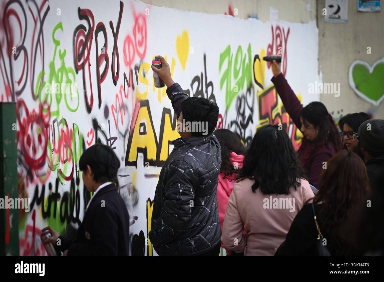 NEW DELHI, INDIA - FEBRUARY 1: Murals seen painted over the walls ...