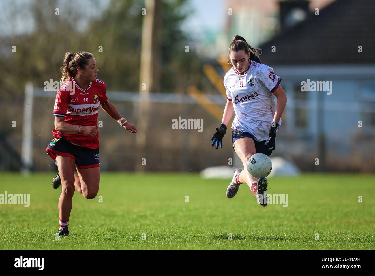 February 1, 2026, Páirc Uí Rinn, Cork, Ireland - Lidl National Football ...