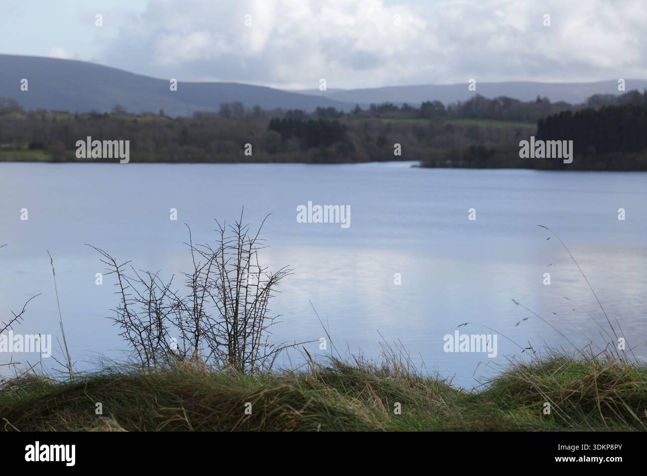 Wicklow, Ireland - 01st February 2026: View of the elevated water ...