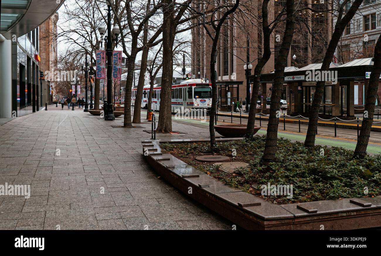 Treelined Street. City Pathway With Benches. Pedestrian Route Shaded By ...