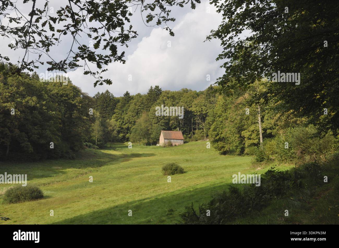 Hut, forest, house, cottage, Odenwald, lonely, loneliness, landscape ...