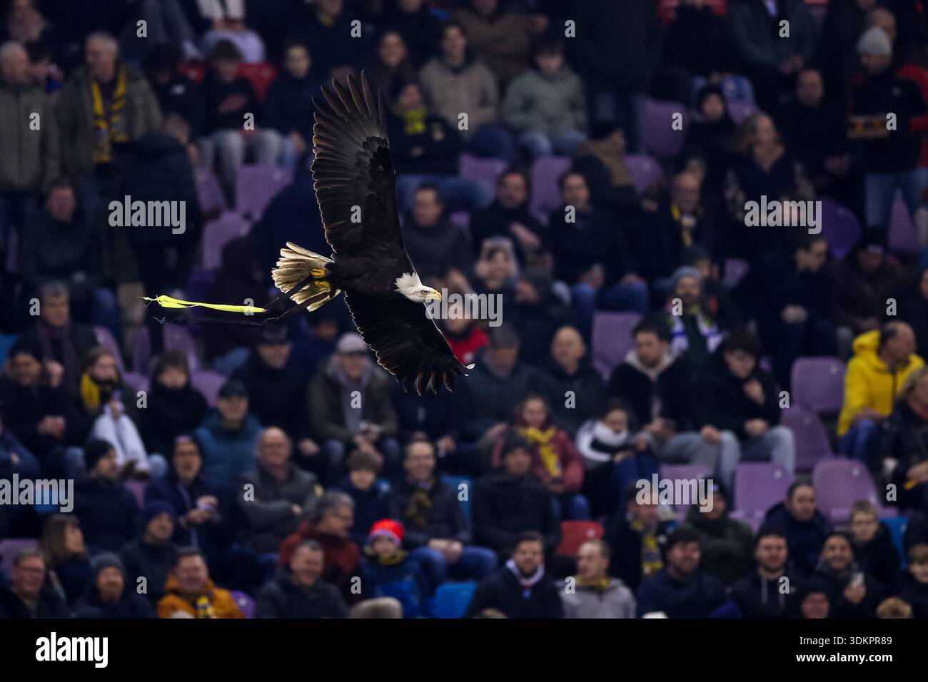 ARNHEM , 30-01-2026 , GelreDome , season 2025 / 2026 , Dutch Keuken ...