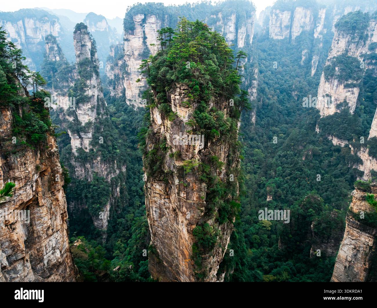 Towering sandstone pillars in Zhangjiajie National Forest Park, China ...