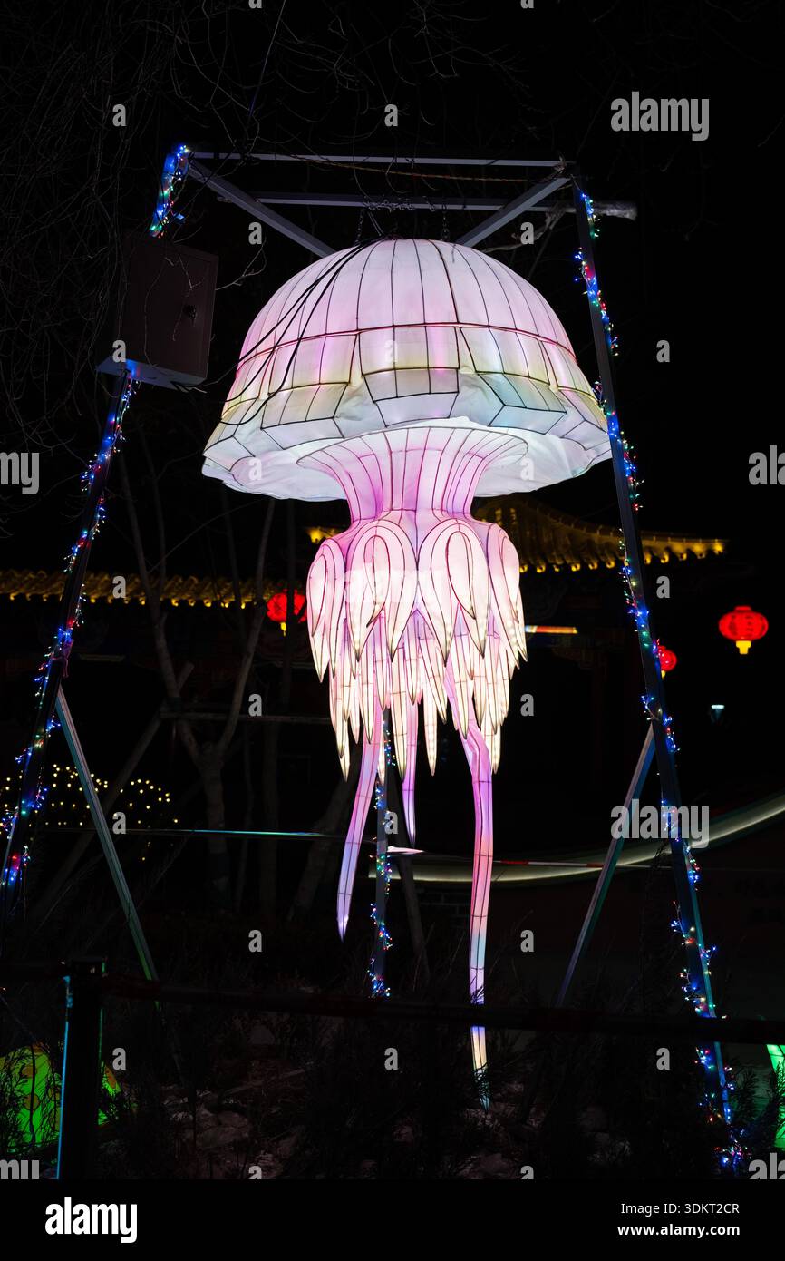 Giant horse-themed lanterns debut at Shenyang Lantern Festival in ...