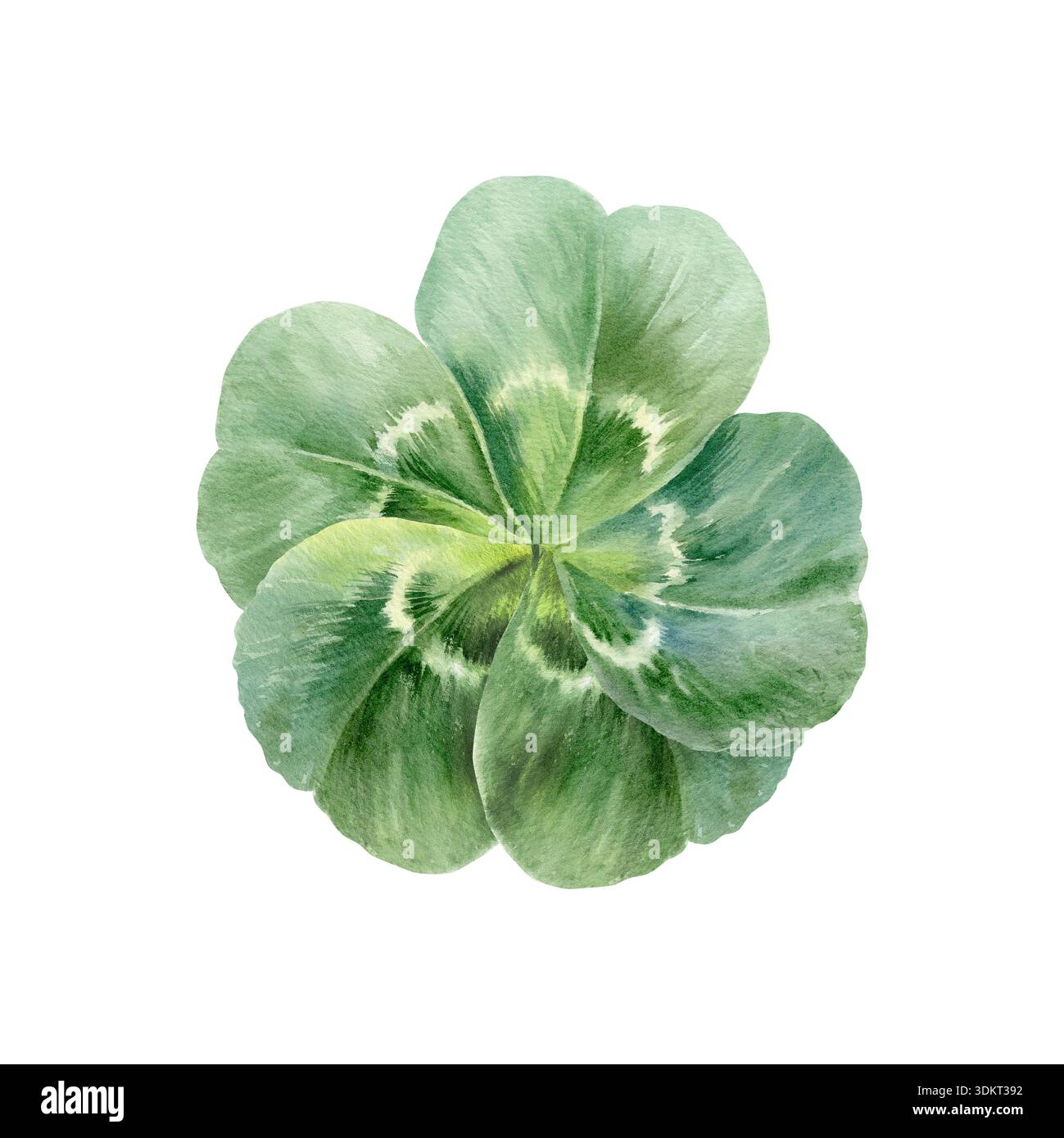 Five leaf clover,symbol of rare luck,fortune in Celtic and Irish ...