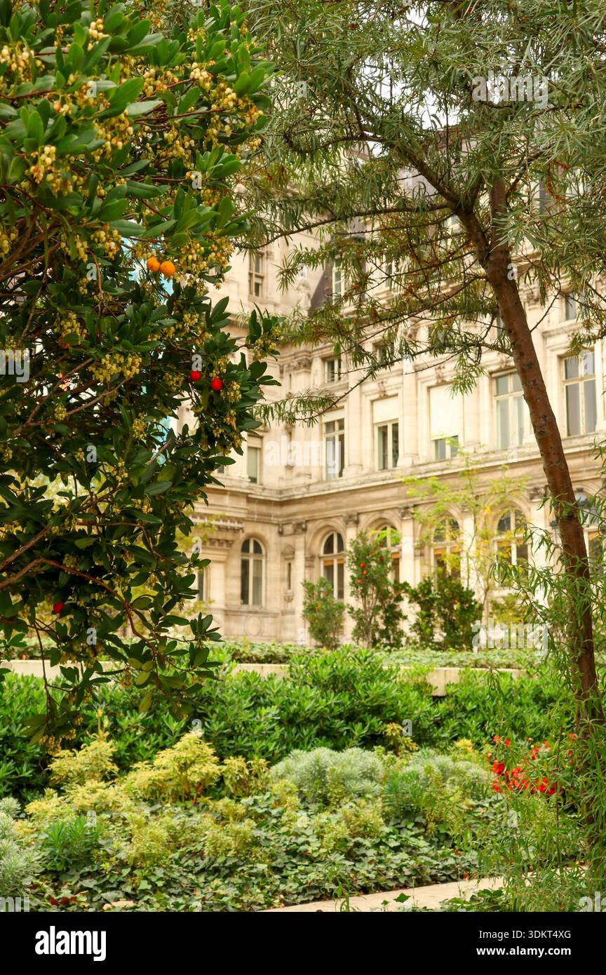 Lush garden displaying diverse foliage and Arbutus unedo in bloom and ...