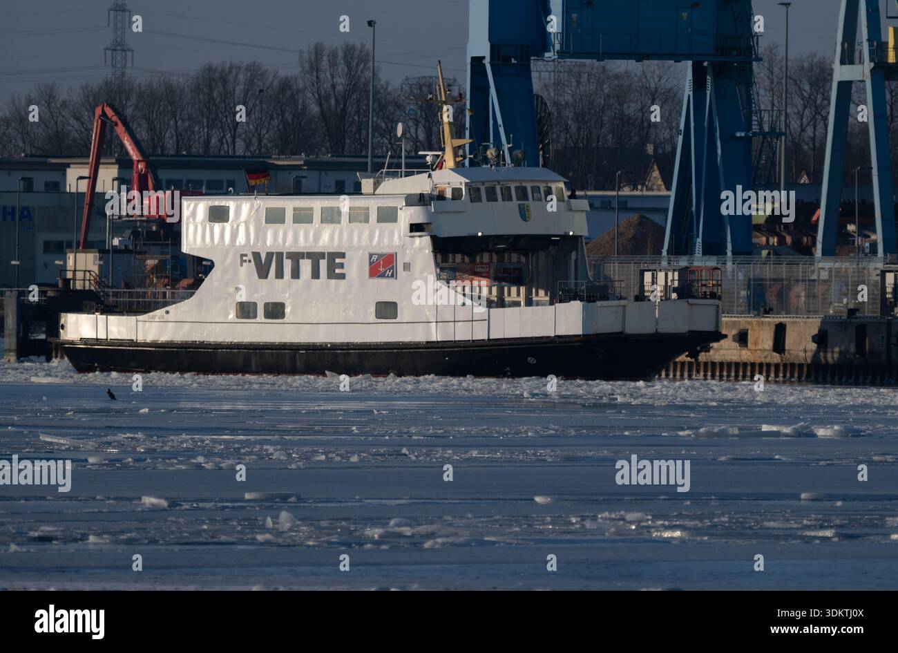 02 February 2026, Mecklenburg-Western Pomerania, Stralsund: The ...