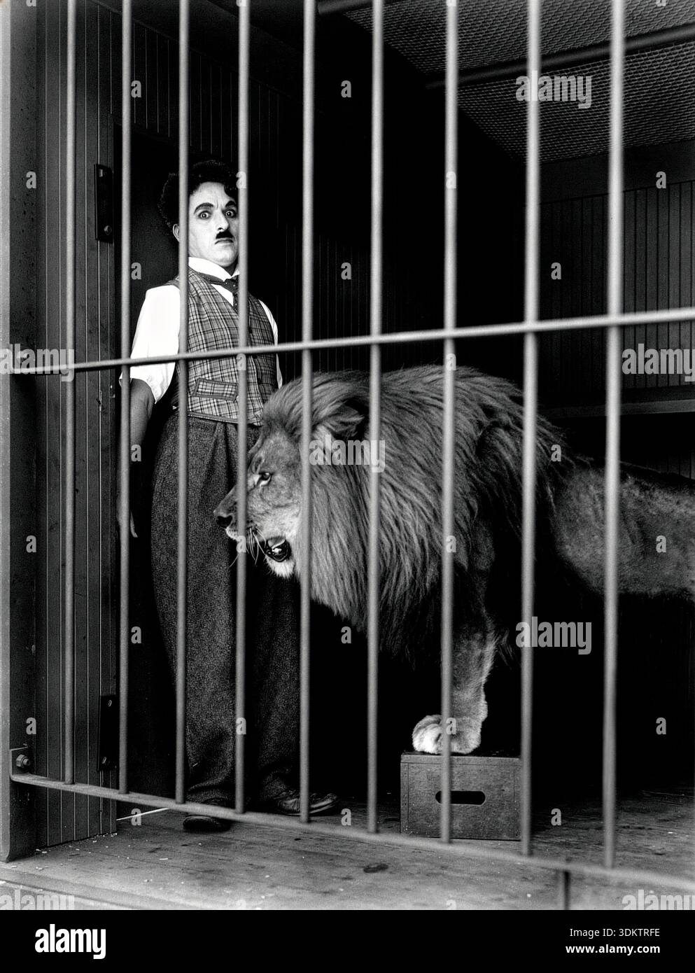Charlie Chaplin as the Tramp character, looking startled in a cage with ...