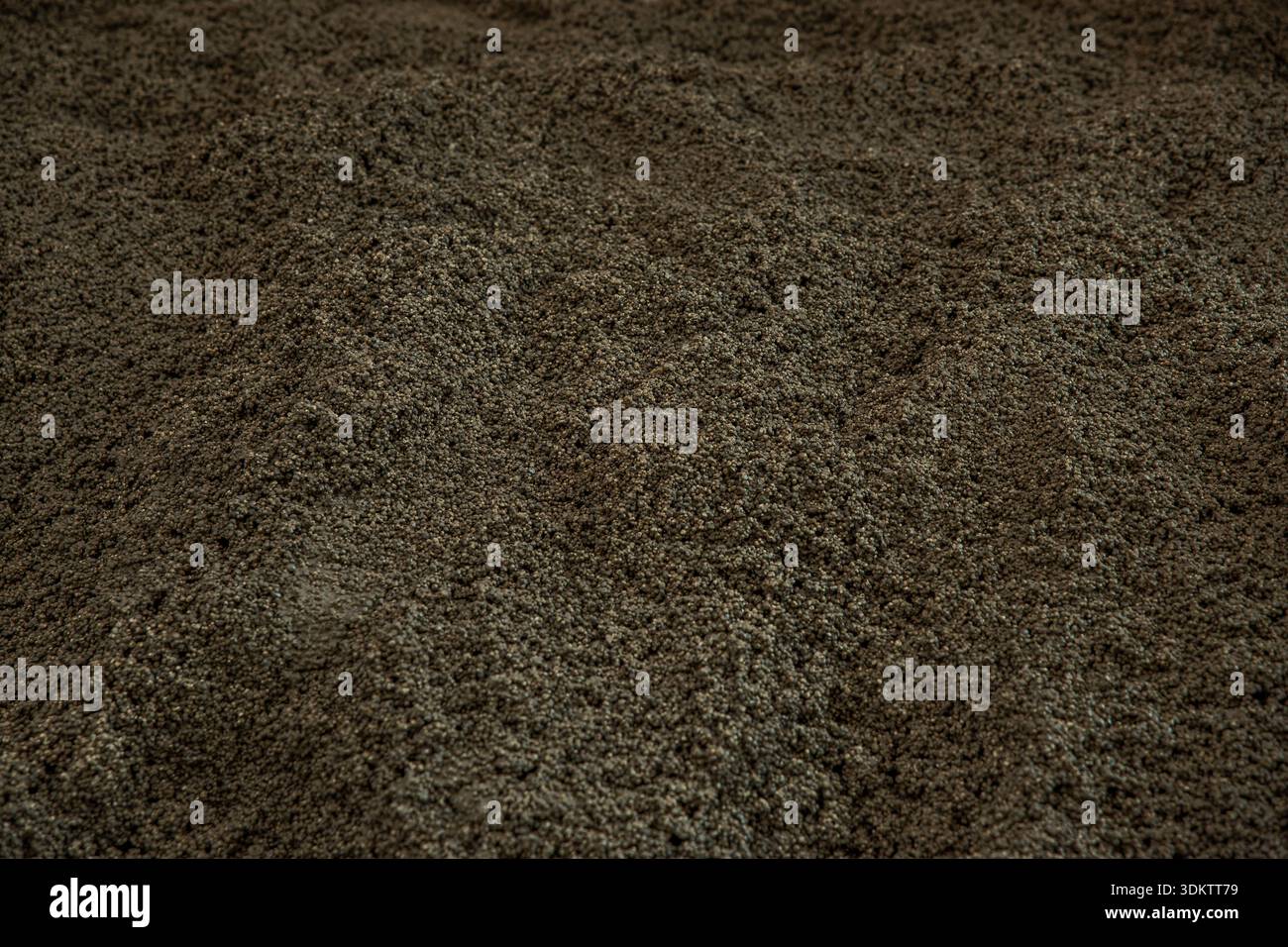 A detailed view of a dark granular surface with fine particles forming ...