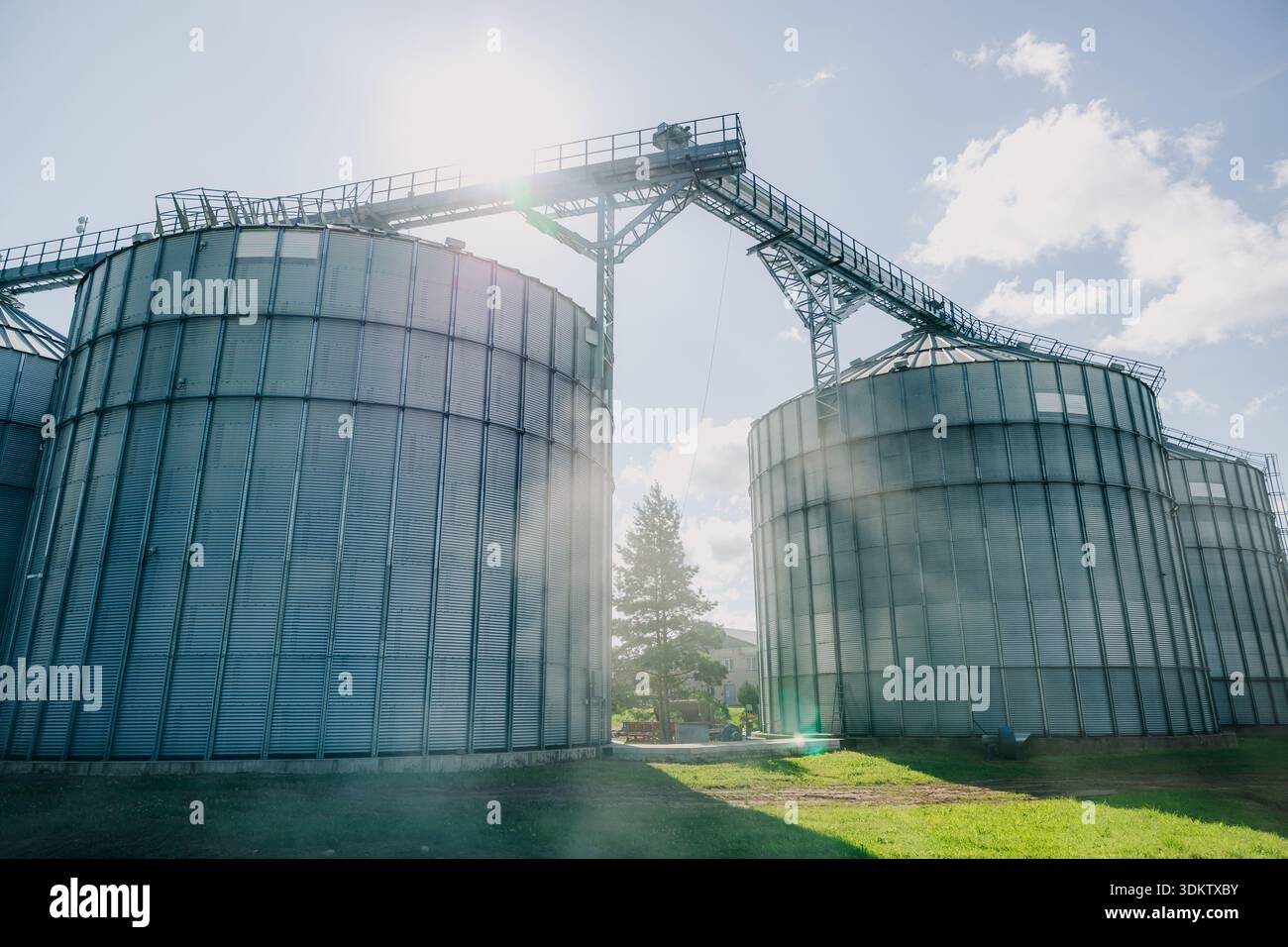 Large metallic silos connected by an elevated conveyor system. A tree ...