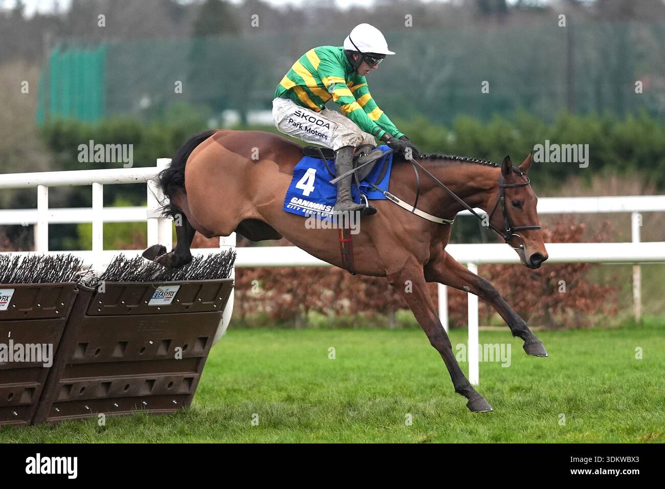 Narciso has horse racing hi-res stock photography and images - Alamy