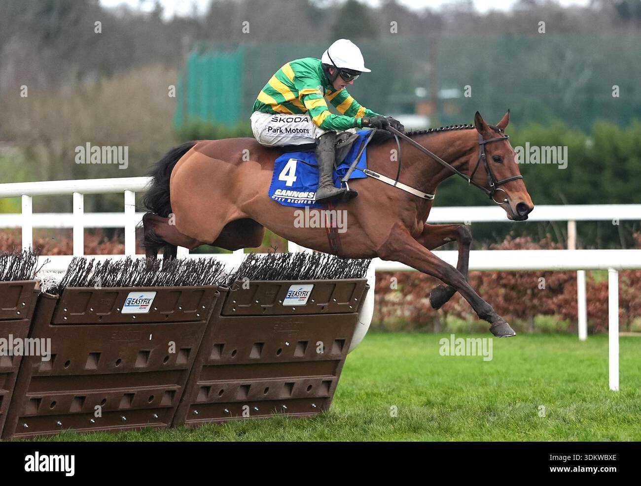 Narciso has horse racing hi-res stock photography and images - Alamy